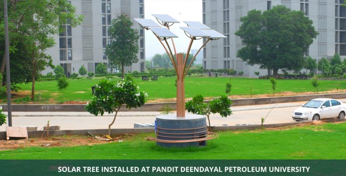 Gujarat: PDPU Alumnus Develops Solar Power Tree Company With Over Rs 80 ...