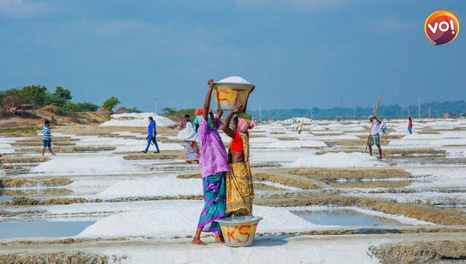 Rain Rubs Salt on Injury For Salt Farmers In Gujarat - Vibes Of India