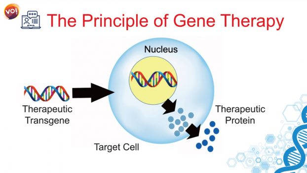 Gene Replacement Therapy Breaks New Ground - Vibes Of India