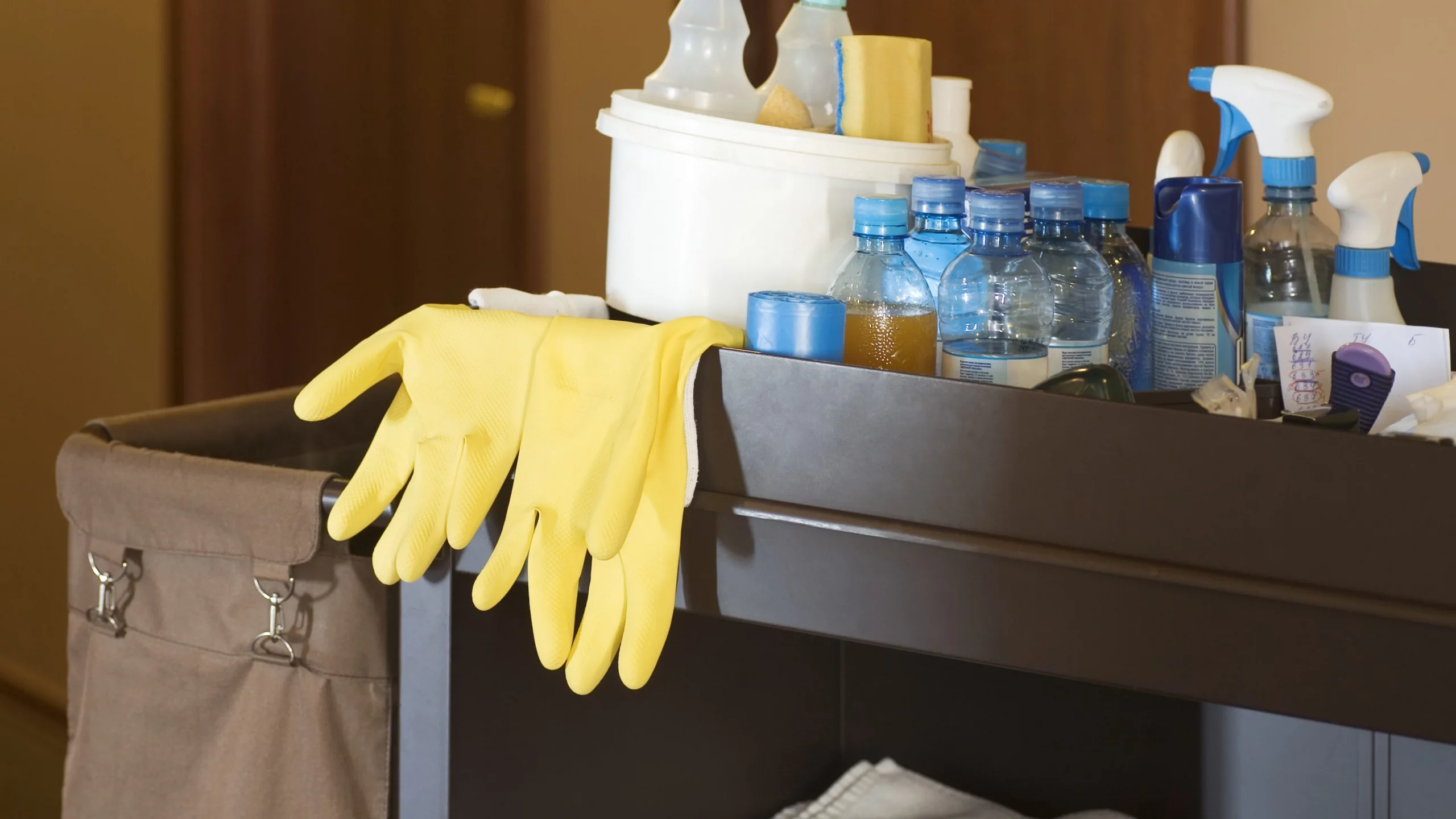 24 Year Old Housekeeper Allegedly Raped by 15 Year Old