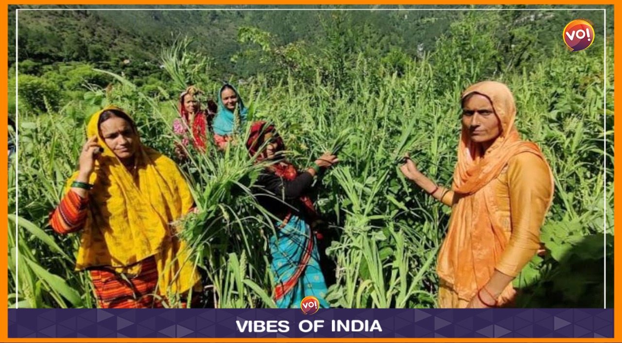 Free Seeds Under 'Mukhyamantri Krishak Sathi Yojana' Aid Women Farmers